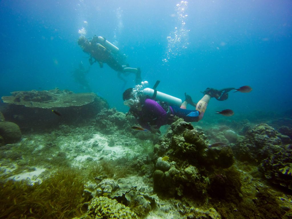 5 Activities To Do in Nalusuan Island Philippines - Affordable island ...